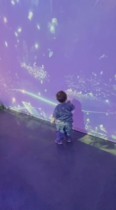 Atoian Family Child Care - ArmenianBD.com, Los Angeles Armenian Jobs ...